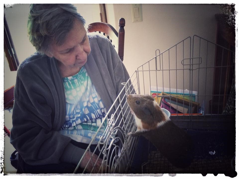 Pretty bird, pretty bird – Barefoot Lily Lady