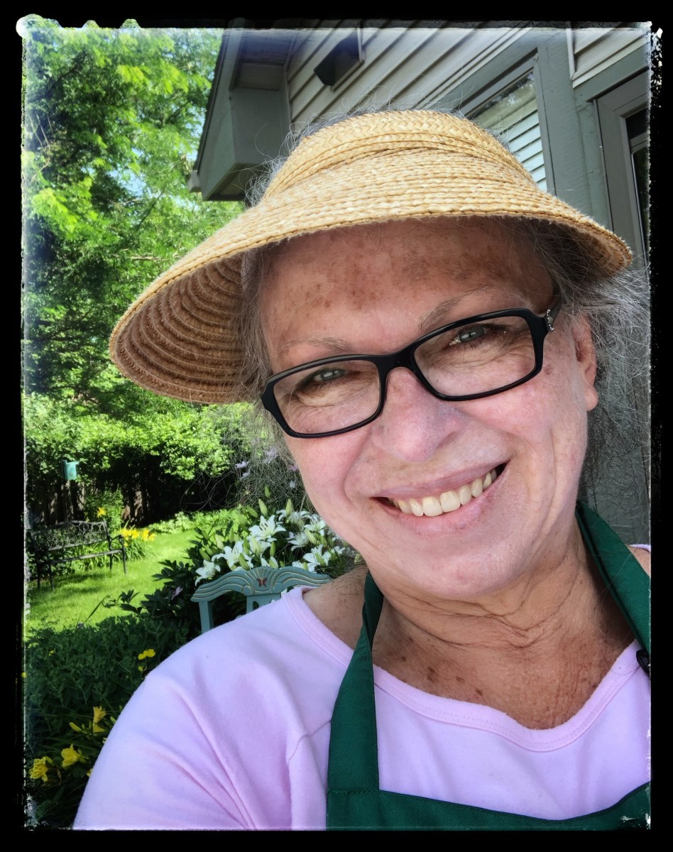 Six on Saturday: Singing in the Rain – Barefoot Lily Lady